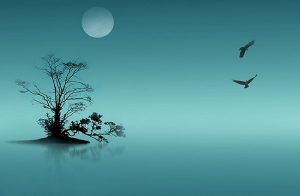 Neither Good or Bad – Just Silent! - MitaShah